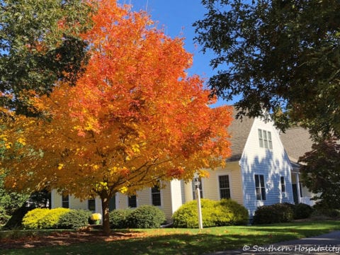 Fall Color on Cape Cod - Southern Hospitality