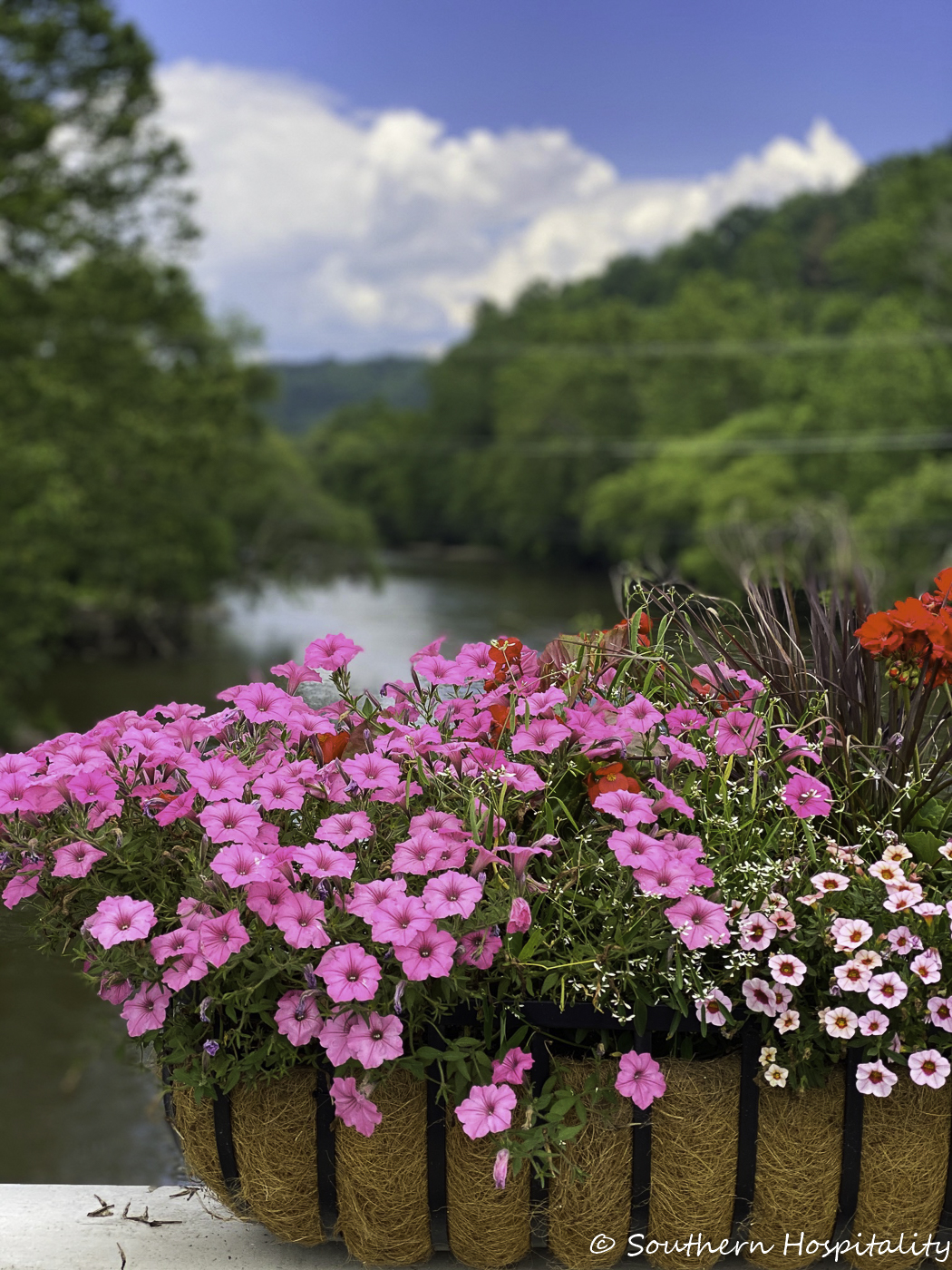 Fun in Bryson City, NC - Southern Hospitality