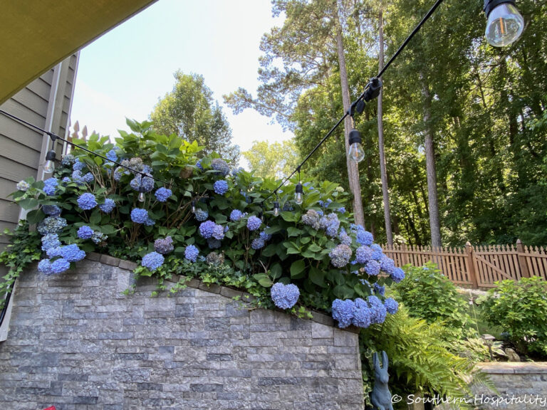 Summer Decorating with Blue Hydrangeas - Southern Hospitality